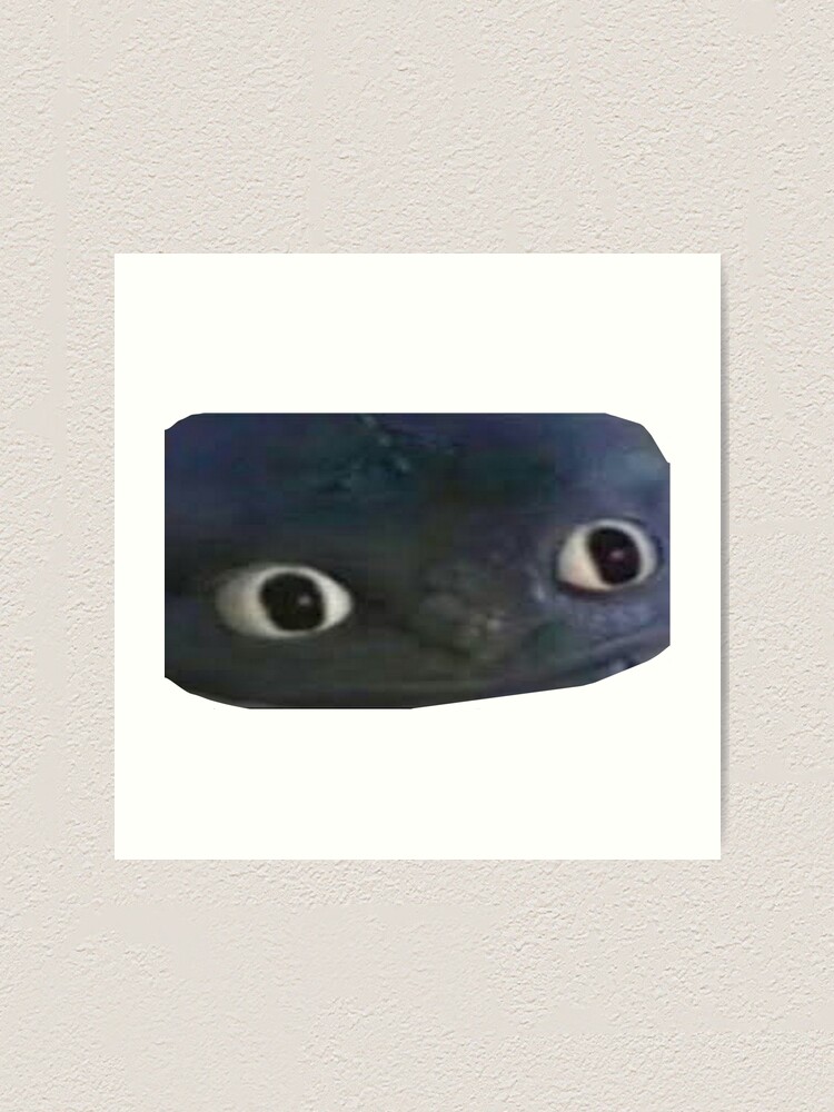 "Toothless Surprised Meme" Art Print for Sale by Vanir036 | Redbubble