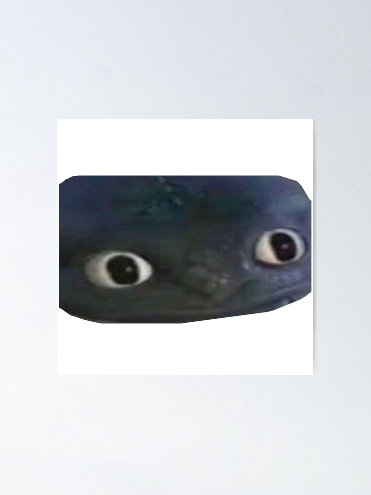 "Toothless Surprised Meme" Poster for Sale by Vanir036 | Redbubble