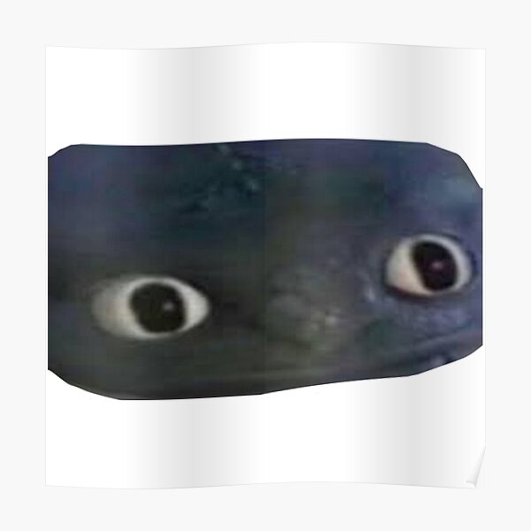 "Toothless Surprised Meme" Poster for Sale by Vanir036 | Redbubble