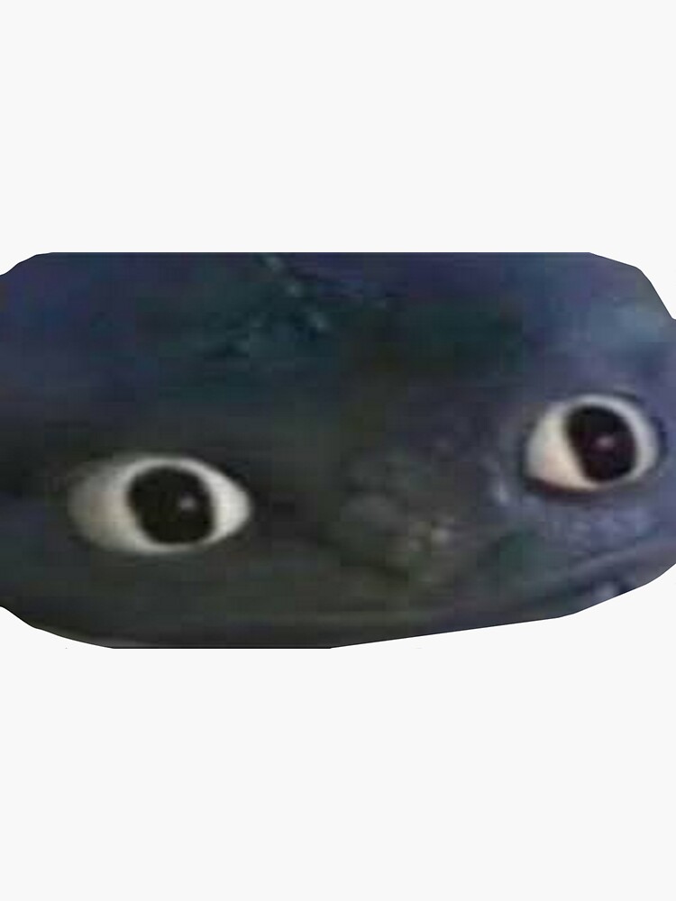 "Toothless Surprised Meme" Sticker for Sale by Vanir036 | Redbubble