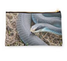 "Michigan Blue Racer Snake" by miphotoguy | Redbubble