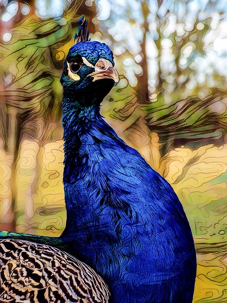 "He is From an Upper Class Background" Poster for Sale by PictureNZ ...