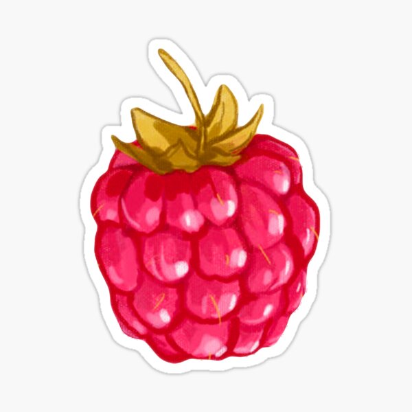 "Single Raspberry" Sticker for Sale by deergoddess | Redbubble
