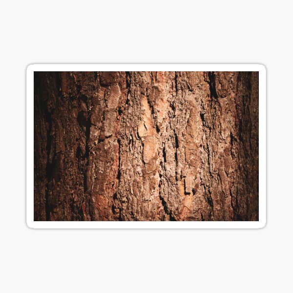 "Dark Wood Texture" Sticker for Sale by PaulinaChmiel | Redbubble