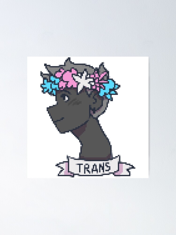 "Pixel flower crown pride: Trans" Poster for Sale by Hyacinth-dragon ...