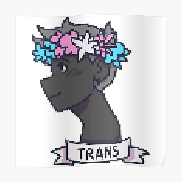 "Pixel flower crown pride: Trans" Poster for Sale by Hyacinth-dragon ...