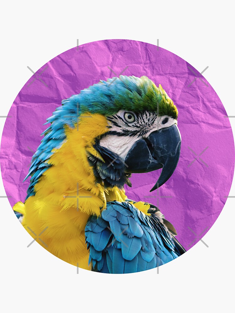 "Parrot on dark pink paper" Sticker for Sale by Mechalina | Redbubble