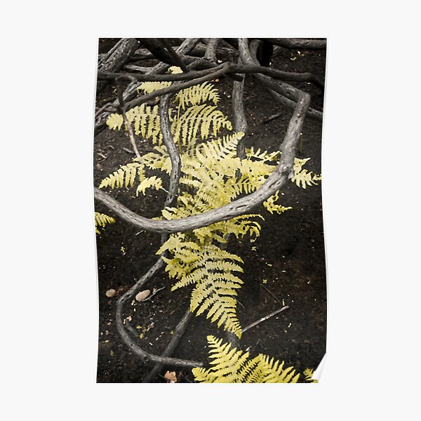 "New Life" Poster by waltzermitty | Redbubble