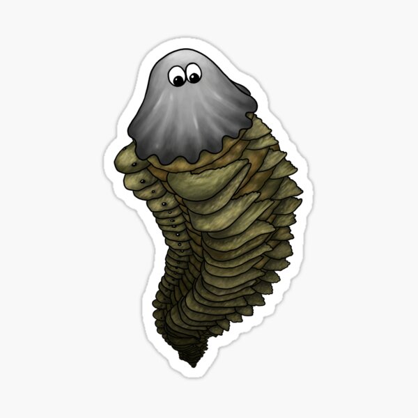 "Turtles of Time" Sticker for Sale by Dingo-Games | Redbubble