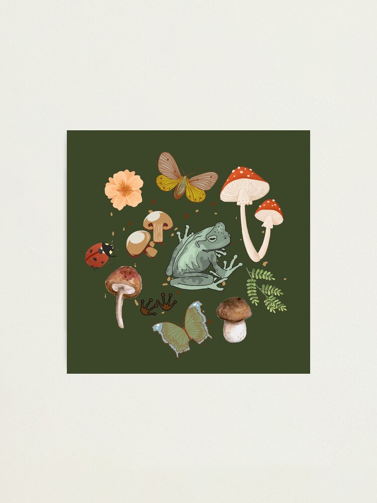 "Fairycore and Cottagecore Set of Mushrooms, Moths, Frogs, & More ...
