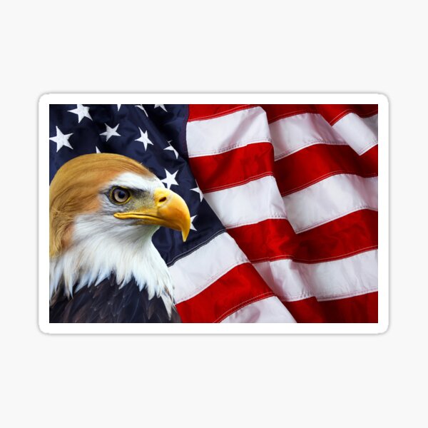Eagle On American Flag Stickers | Redbubble