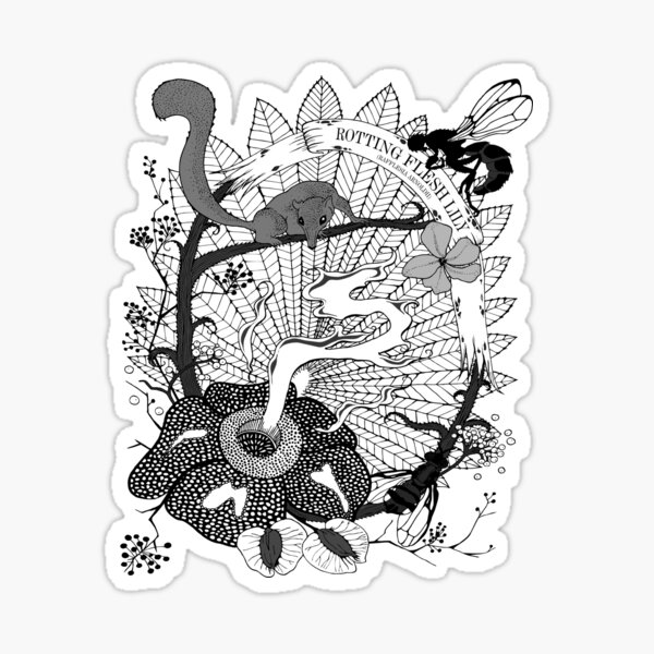 "Rotting Flesh Lily (Rafflesia Arnoldii)" Sticker for Sale by ...