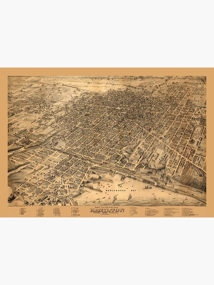 "Map Of Hamilton 1876" Art Print for Sale by mollyfare | Redbubble