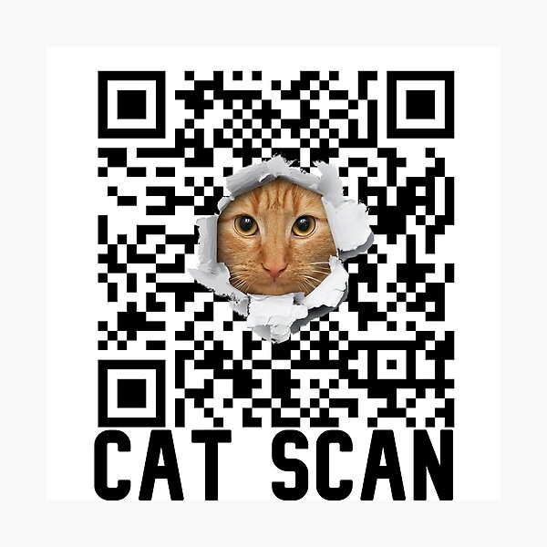Lámina fotográfica «Cat Scan Generador de código Qr Generador de código ...