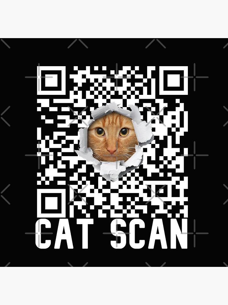 "Cat Scan Qr Generator, Cat Pate Vintage" Throw Pillow for Sale by ...