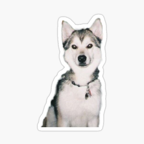 "Still Bummed by Nouns" Sticker for Sale by puppychrist | Redbubble