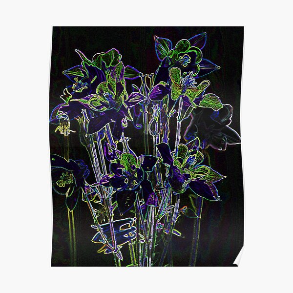 "Electric Columbine" Poster for Sale by Scotty1965 | Redbubble