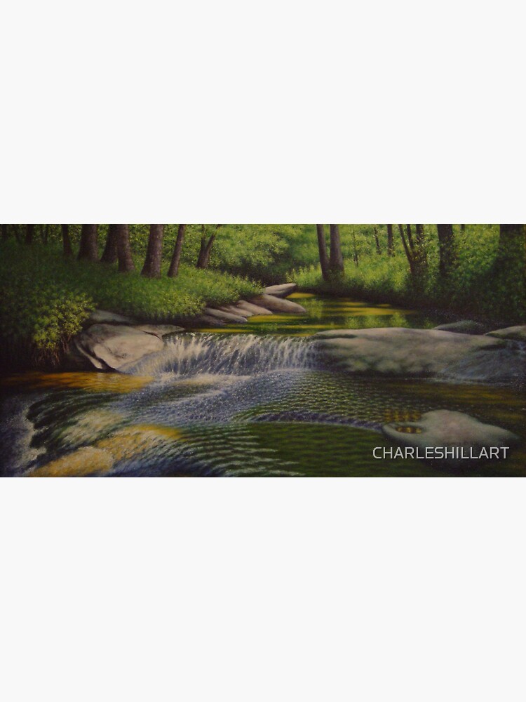 "On the Rocks" Sticker for Sale by CHARLESHILLART | Redbubble