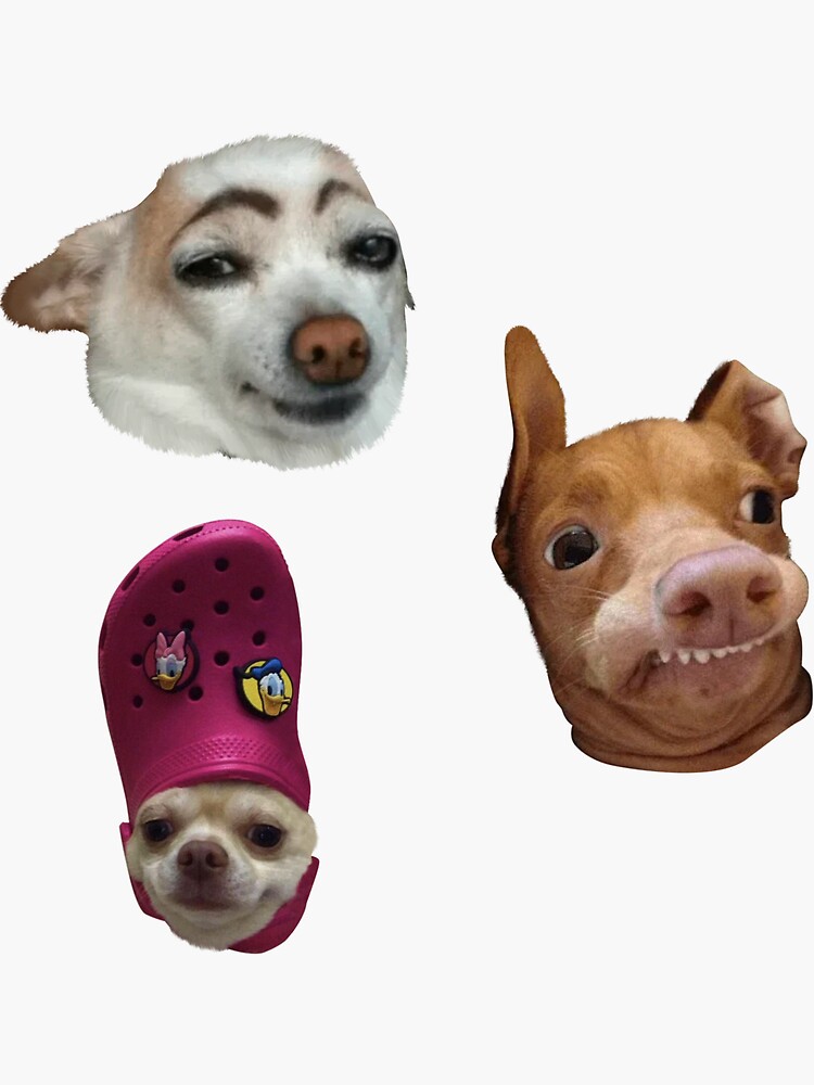 "Dog meme sticker pack" Sticker for Sale by OniMaskDesign | Redbubble