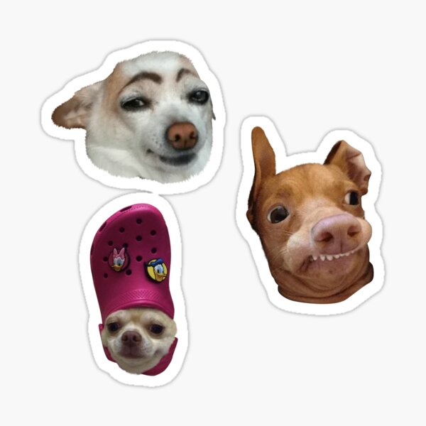 "Dog meme sticker pack" Sticker for Sale by OniMaskDesign | Redbubble