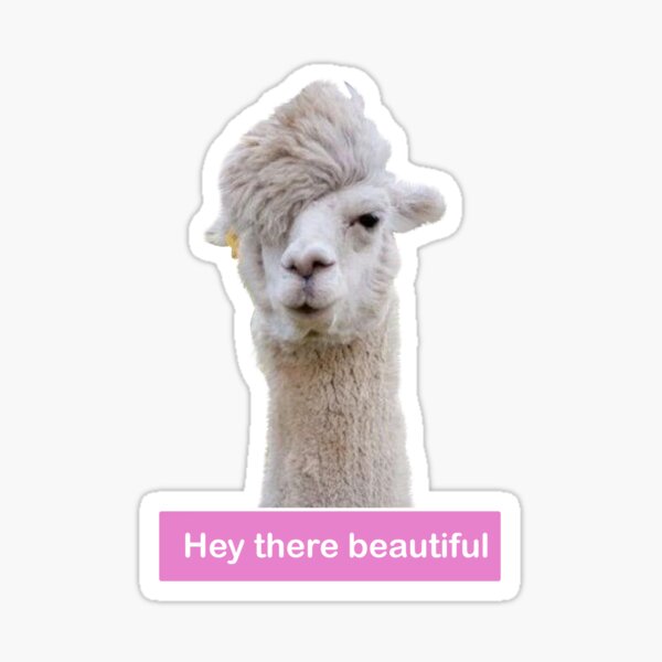 "Handsome Llama Flirting Sticker" Sticker for Sale by OniMaskDesign ...