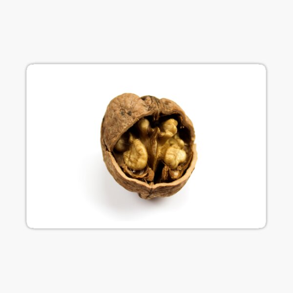 "Cracked walnut" Sticker for Sale by mahirov | Redbubble