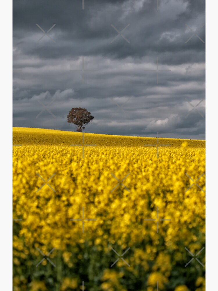"Sentinel" Sticker for Sale by SusanAdey | Redbubble