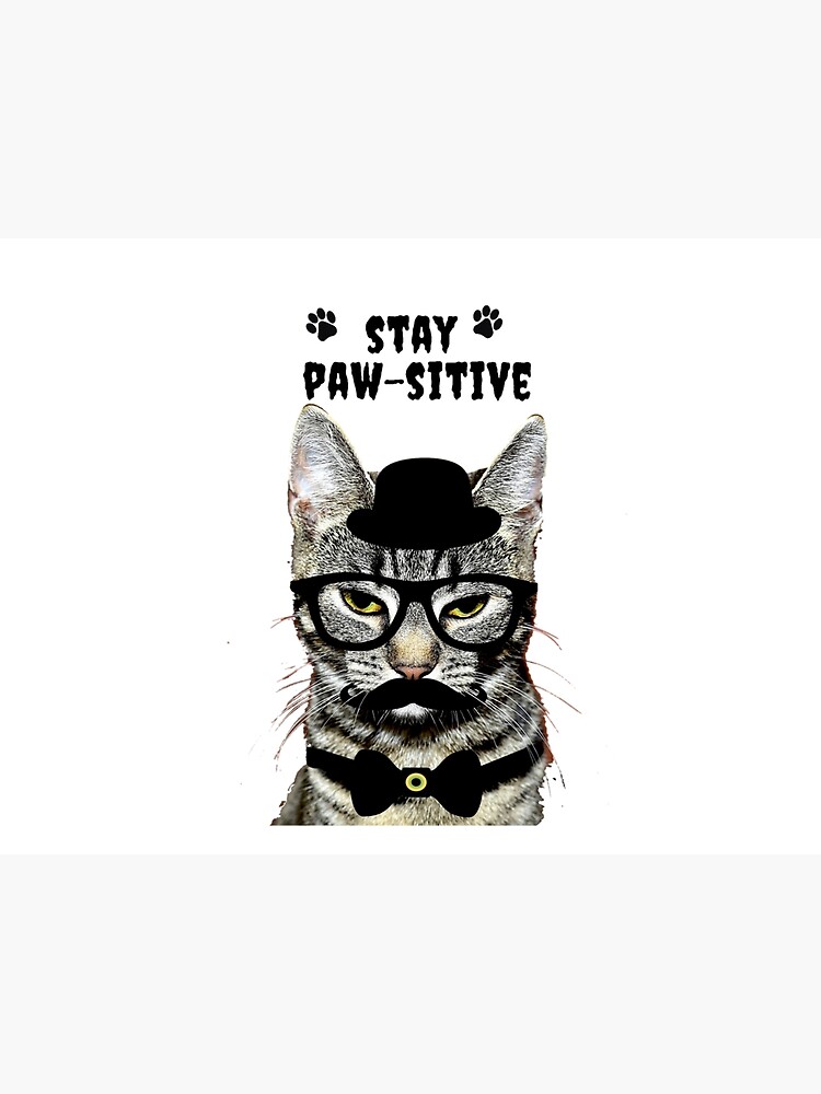 "stay paw-sitive cat meme" Art Print by Animaux79 | Redbubble