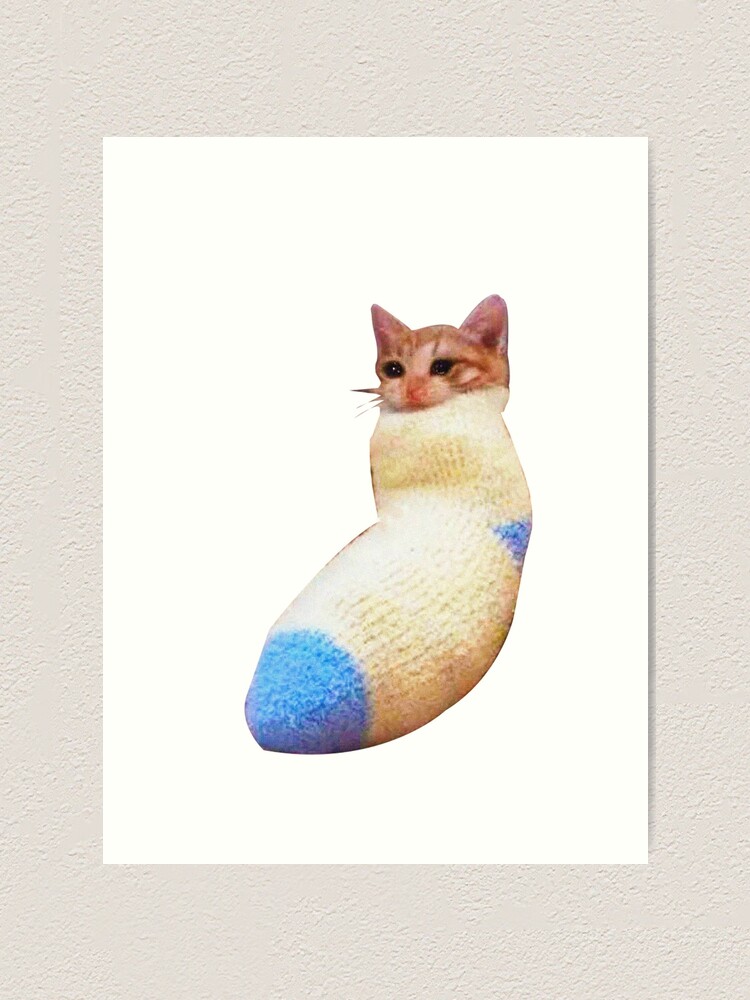 "sadcat crying cat in sock meme" Art Print for Sale by therustyart ...