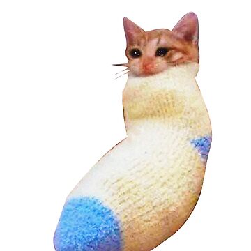 "sadcat crying cat in sock meme" Photographic Print for Sale by ...