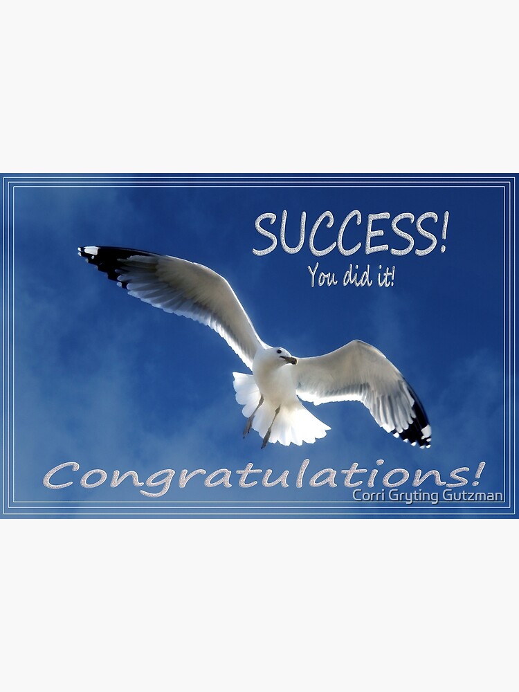 "Congratulations Card with a Soaring Seagull" Poster for Sale by Corri ...