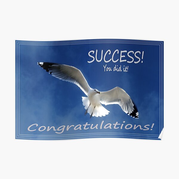 "Congratulations Card with a Soaring Seagull" Poster for Sale by ...