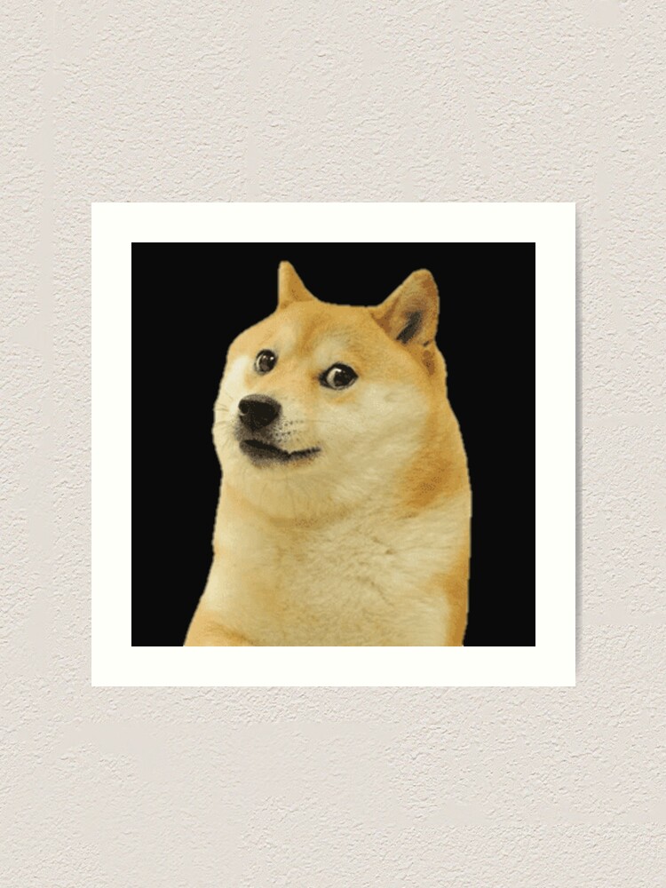 "Doge Coin Meme" Art Print for Sale by CryptoMariohop | Redbubble
