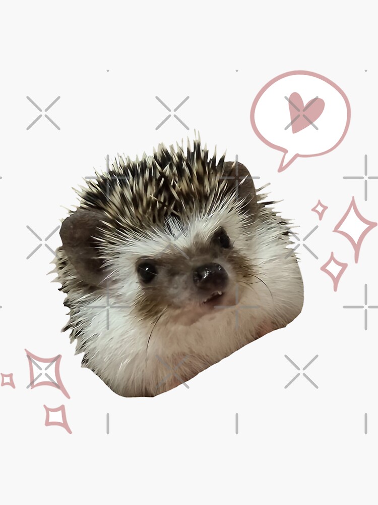 "Odi the hedgehog of Soobin from TXT" Sticker for Sale by ...