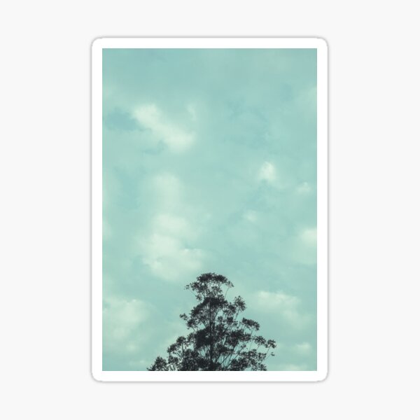 "Beautiful Sky - Tree" Sticker by anafrancisconi | Redbubble
