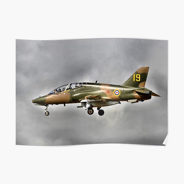 "Camo Hawk T1" Poster for Sale by Fearless-Fox | Redbubble