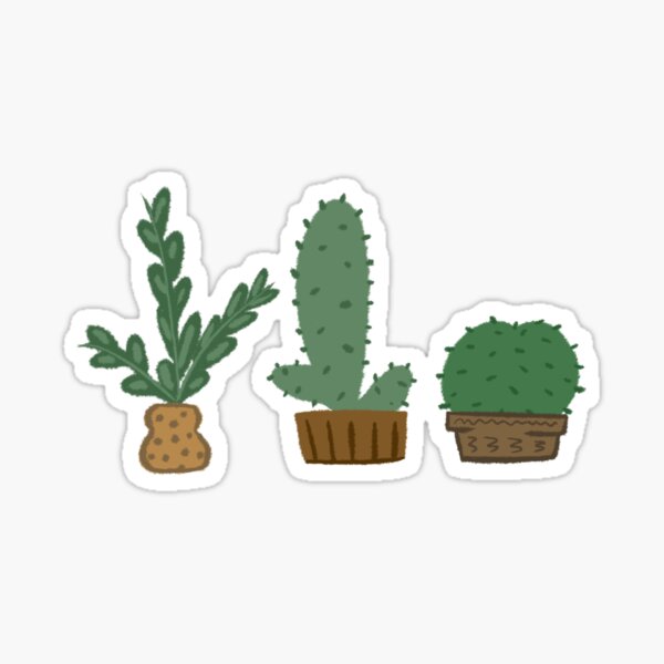 "Tiny Cacti " Sticker for Sale by Jade1411 | Redbubble