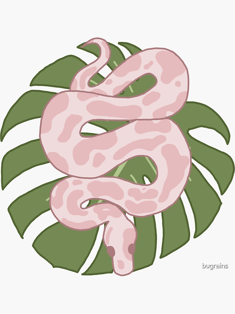 "Pink Ball Python with monstera leaf" Sticker for Sale by bugrains ...
