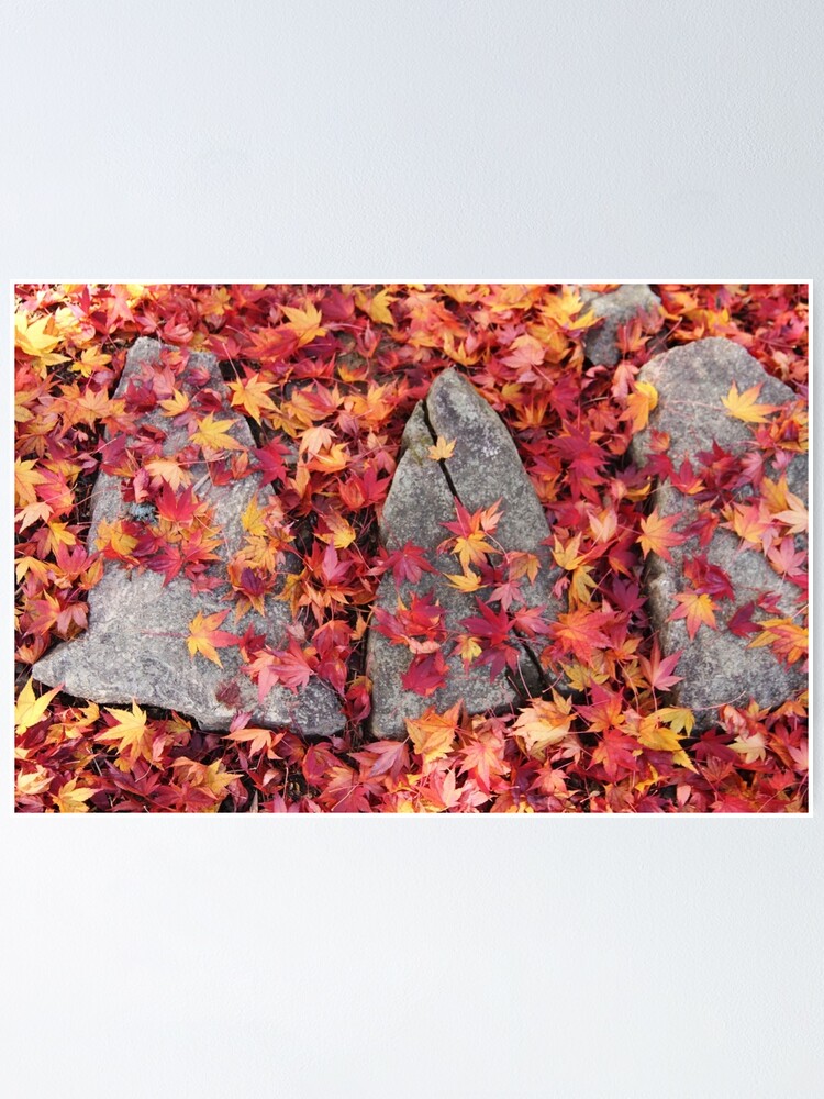 "MomijiKi Ishi" Poster by yvesrossetti | Redbubble