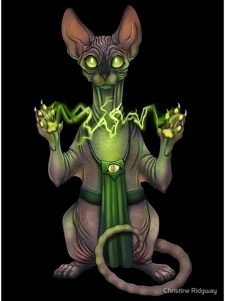 "DnD CATS Hexenmeister Sphinx Katze" Fotodruck von Skidar | Redbubble