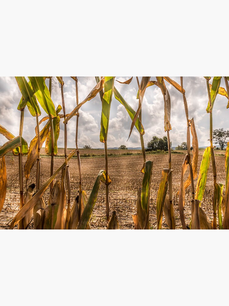 "Left Behind" Sticker for Sale by butterbean57 | Redbubble