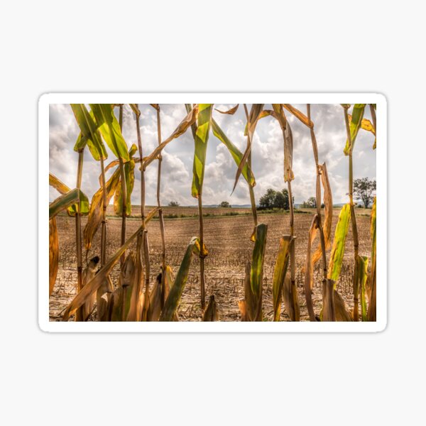 "Left Behind" Sticker for Sale by butterbean57 | Redbubble