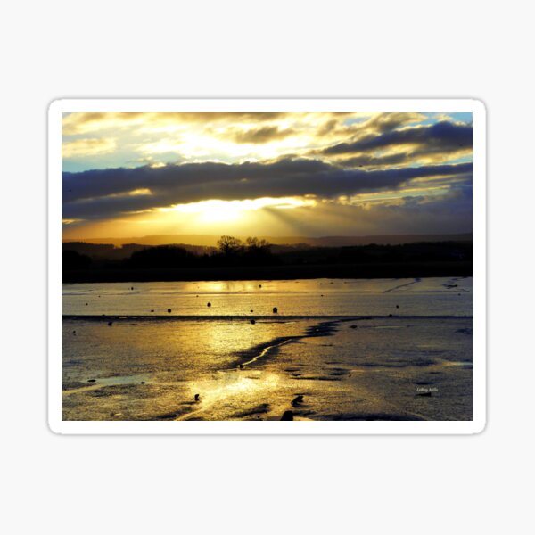 "Estuary Evening" Sticker for Sale by LeRoyM | Redbubble