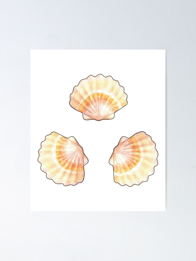 "3 sea shells" Poster by Sky1I | Redbubble
