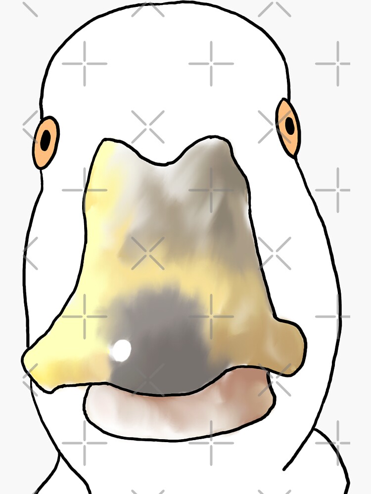 "in your face" Sticker for Sale by DefaultGoddess | Redbubble