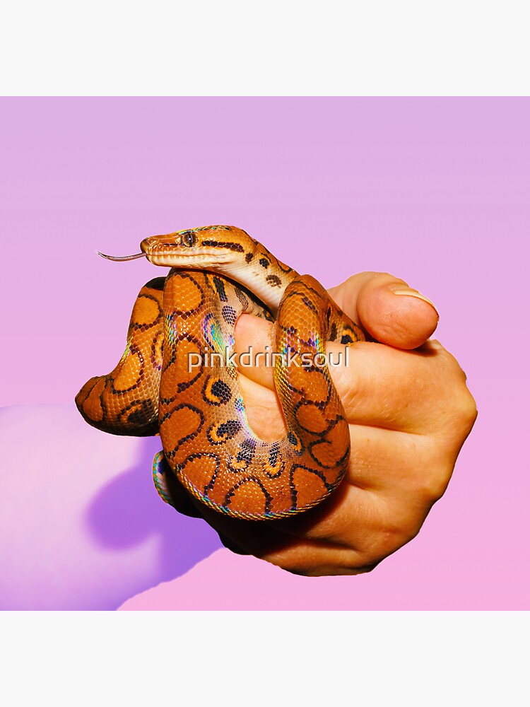 "little red snake" Sticker for Sale by pinkdrinksoul | Redbubble