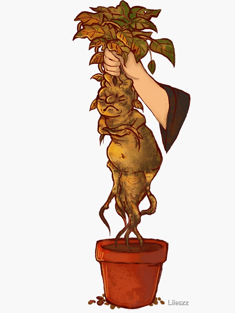 "Grumpy Mandrake" Sticker for Sale by bookotter | Redbubble