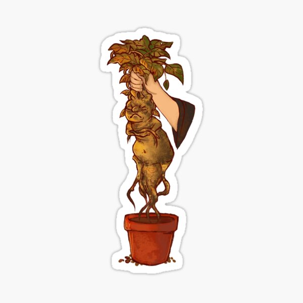 "Grumpy Mandrake" Sticker for Sale by bookotter | Redbubble