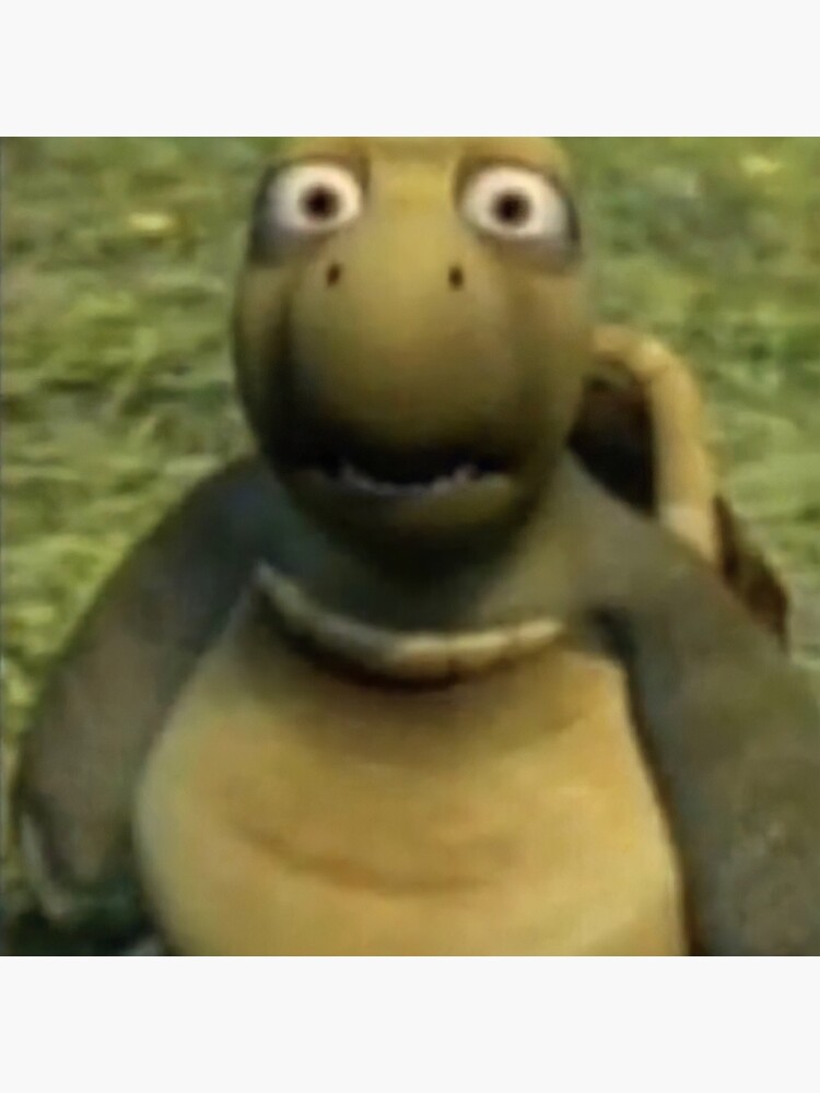 Over The Hedge Turtle Over The Hedge: From The Comic, To Film, And