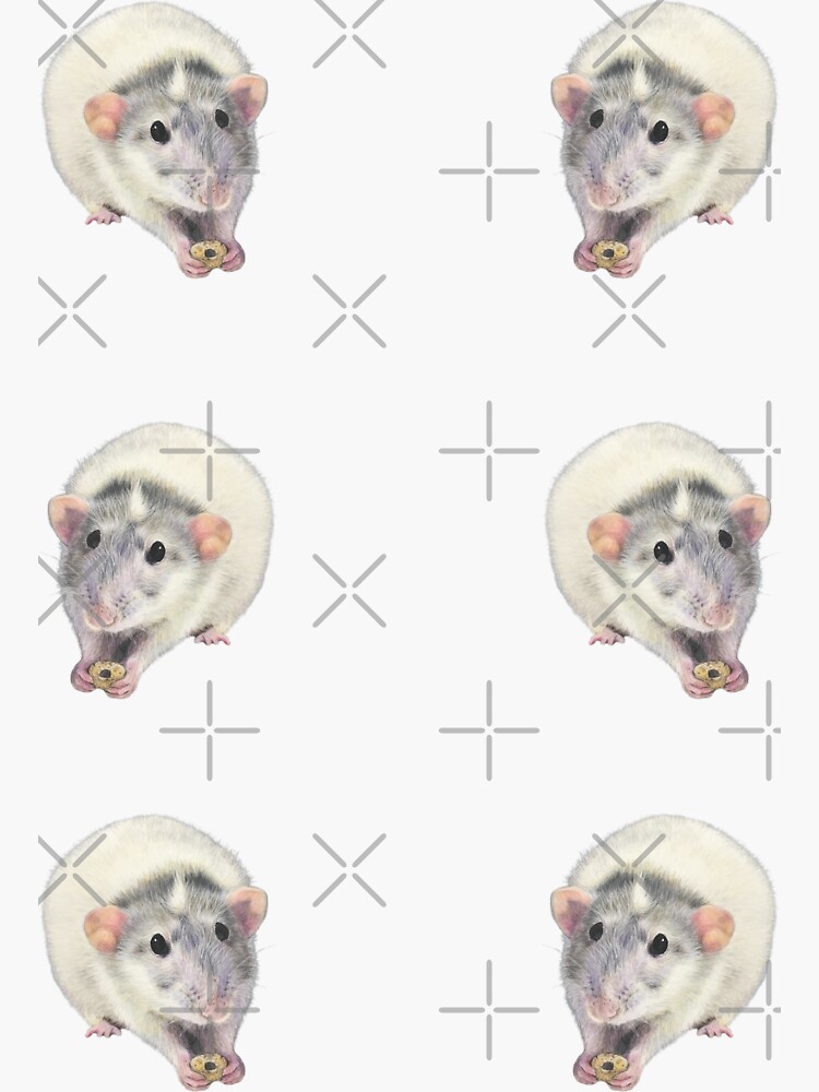 "Cute little rat | rat lovers Stickers pack" Sticker for Sale by ...